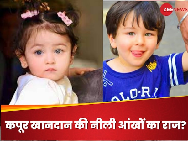 Kapoor family blue eyes secret know about this raha taimur get blue ...