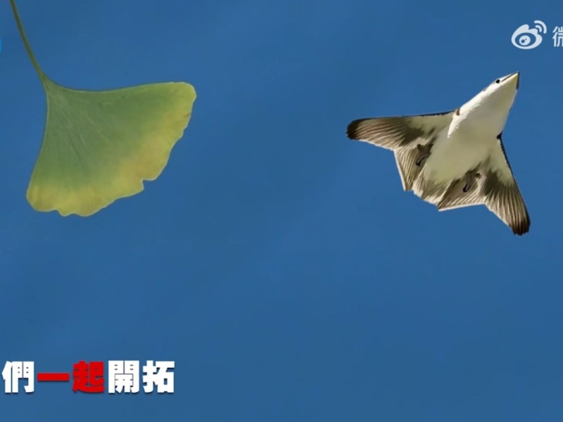 China sixth generation fighter jet another video viral design is like a ...