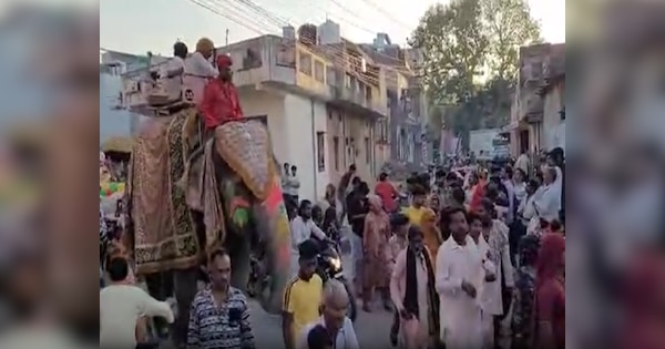 Alwar News funeral procession taken out with elephants horses and bands ...