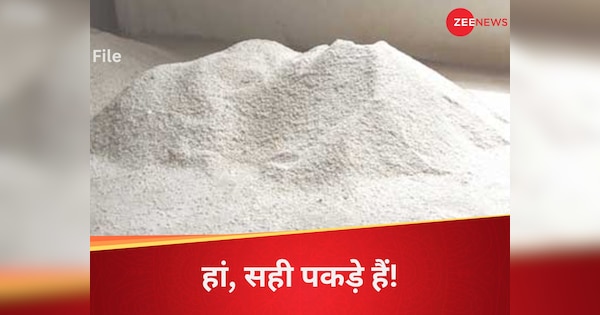 isabgol bhusi ke fayde how connected with horse ear india export big ...