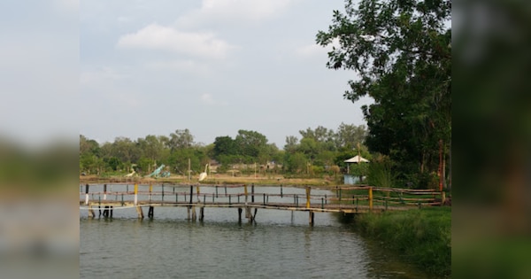 bilaspur bilasa lake garden is a great place to spend summer holidays ...