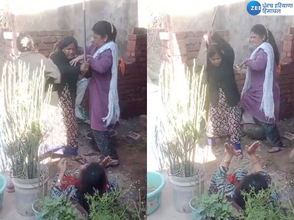 Paonta Sahib News woman beats woman with a stick in Sirmaur video went ...