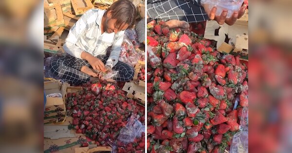 Food vendors are repackaging rotten and fungus infested strawberries ...