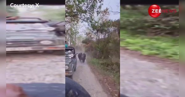 Rhinoceros ran after safari jeep tourists started screaming watch this video going viral on ...