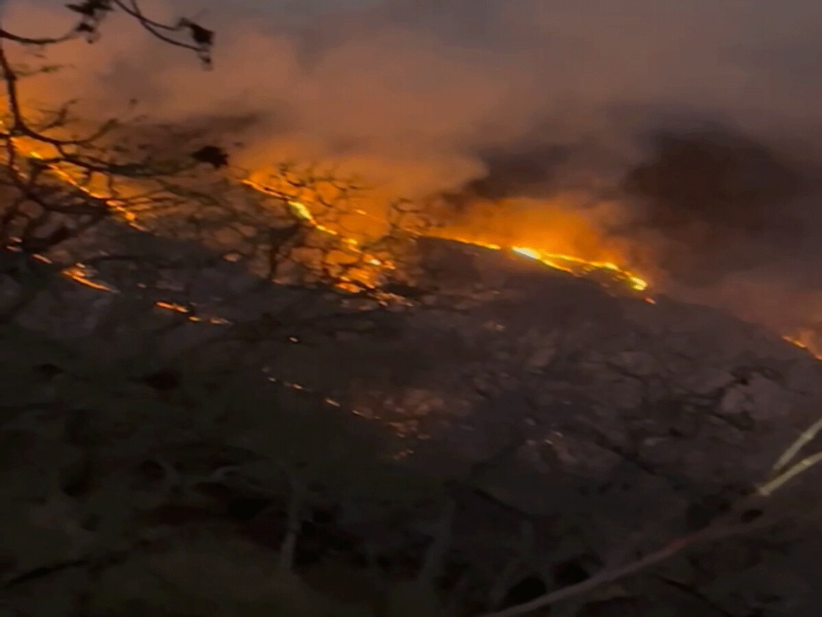 Sirohi Mount Abu forest fire is preading to roadsides | Sirohi News ...