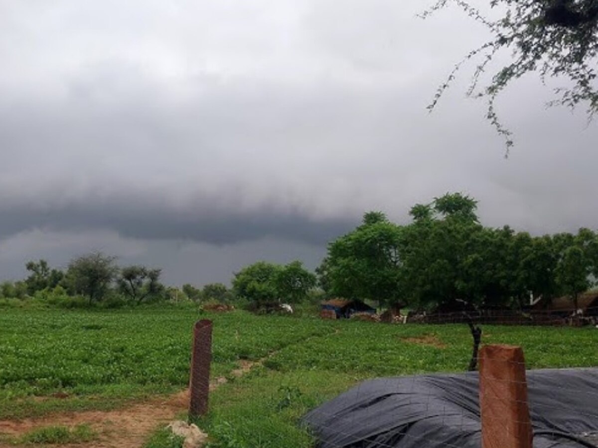 Rajasthan Weather Update rain Alert issued for 11 districts including Jaipur in state on 2nd ...