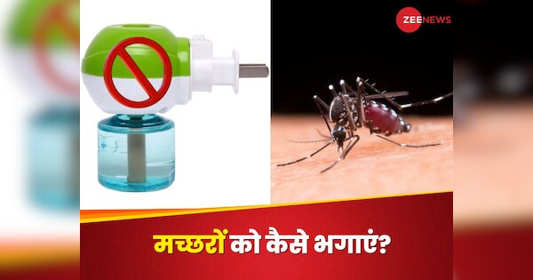 Chemical based mosquito repellent risky to Get Rid of mosquitoes How To ...
