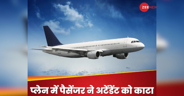 Shenzhen Airlines BITE HORROR Watch shocking moment crazed passenger ...