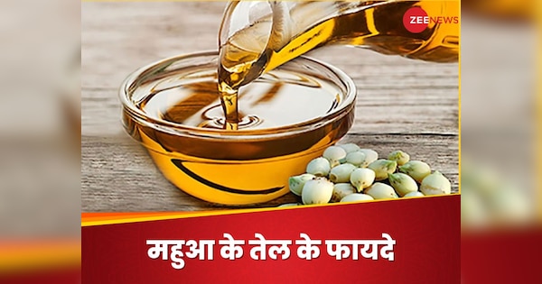 Health Advantages Of Mahua Oil Ka use Hair Growth Skin Care Mosquito ...