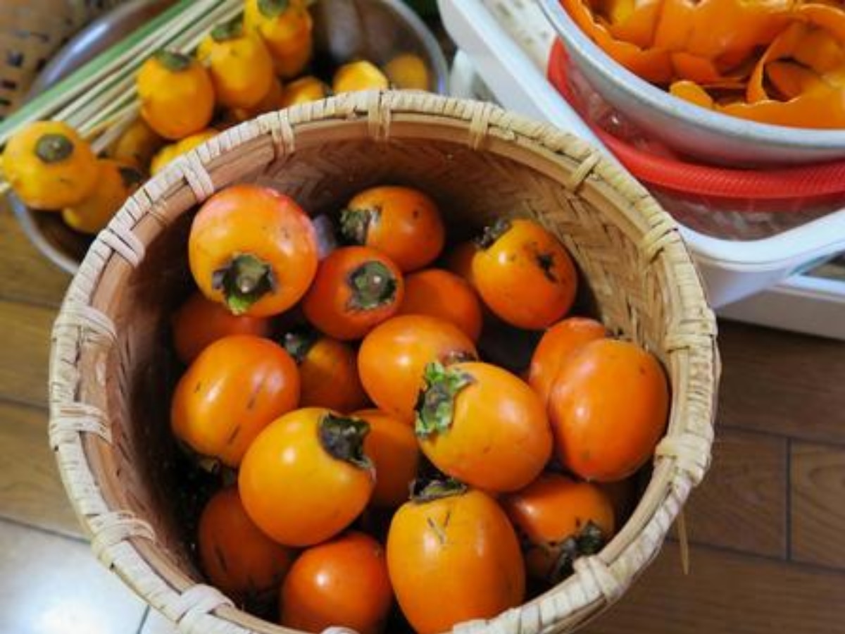madhya pradesh tendu fruit found in tribal areas is healthy for body ...