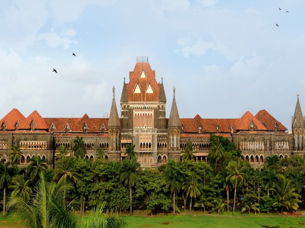 Bombay hc orders birth certificate for covid born baby battling blood ...
