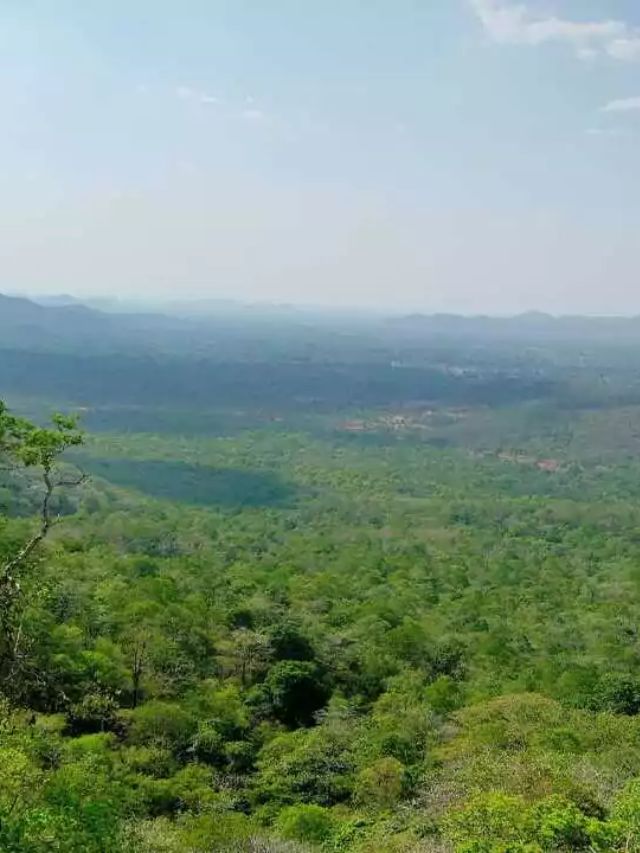 Best places to visit in Kondagaon Manjhingarh Falls Keshkal ghati ...
