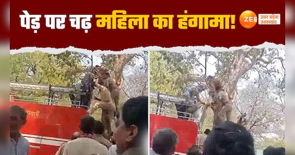 Mathura Old woman created ruckus by climbing tree video went viral on ...