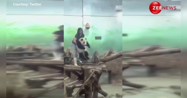 baby panda trying to escape for not taking bath this video will make ...
