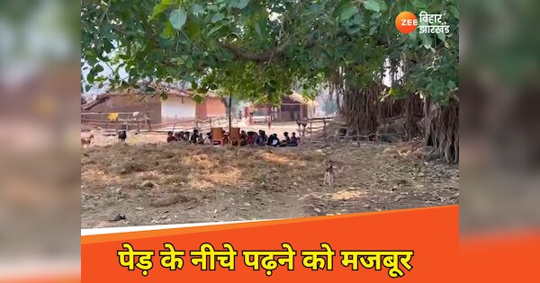 tribal children are studing under tree shade of open sky without ...
