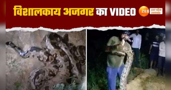 kannauj giant python rescue live video viral on social media watch here | Python Video: विशालकाय ...