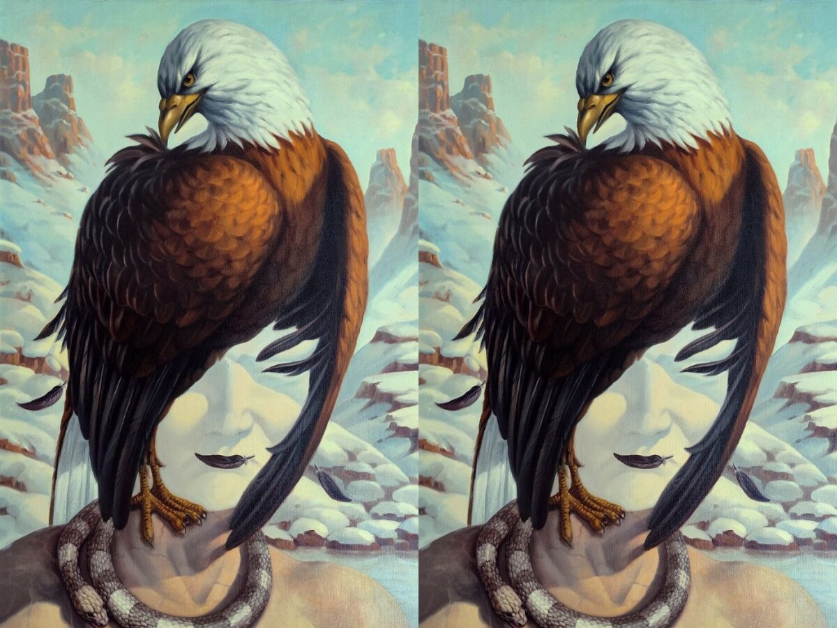 optical personality test what you see in first glace bird woman or leaf ...