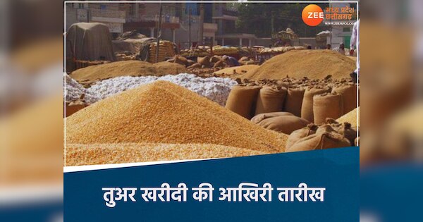 mp farmers should register soon the last date for registration of tur ...