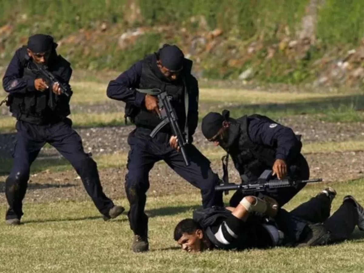 NSG SPG commando photos know what is the height of nsg spg commando nsg ...