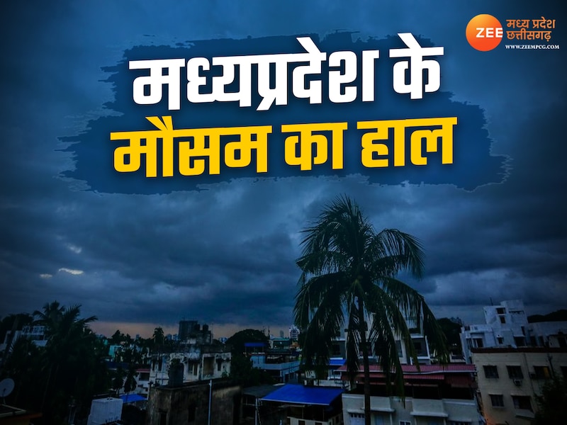 weather report MP alert of rain and hailstorm in more than 20 districts today-मध्यप्रदेश के कई ...