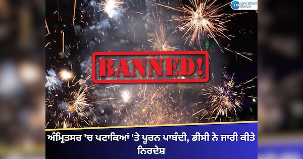 Complete ban on firecrackers in Amritsar DC issues instructions ...