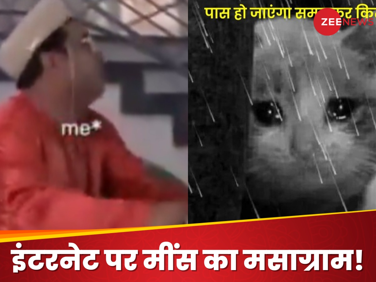 CBSE 12th 2025 class results were announced funny memes started pouring ...