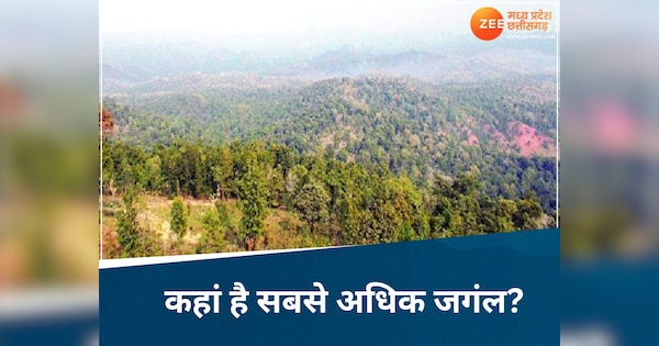 cg gk which part of chhattisgarh has most forest know area and name| CG ...