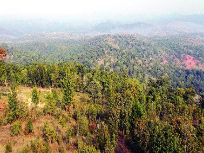 cg gk which part of chhattisgarh has most forest know area and name| CG ...