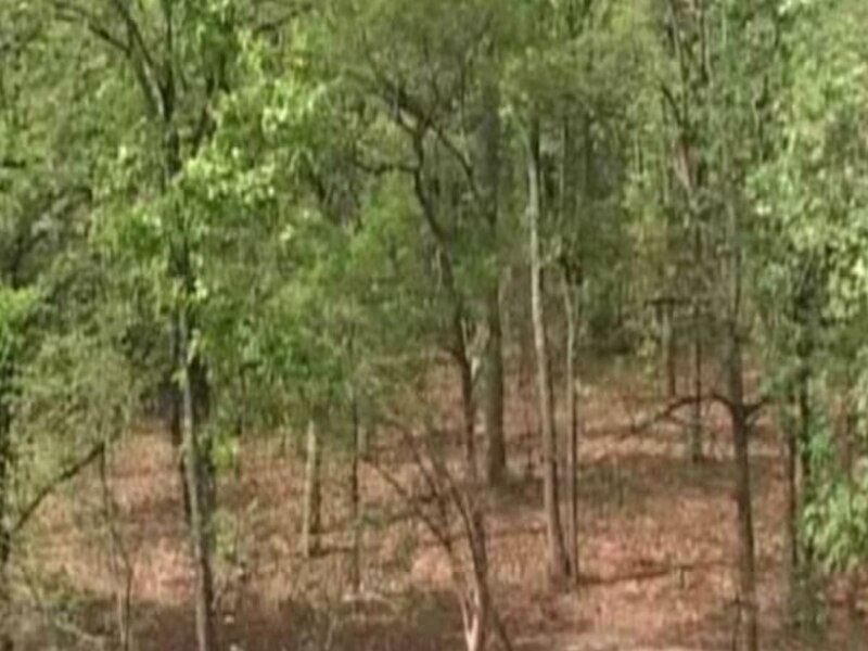 cg gk which part of chhattisgarh has most forest know area and name| CG ...