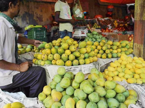 bhopal 30 to 40 tonnes of mangoes are being sold daily demand for badam ...