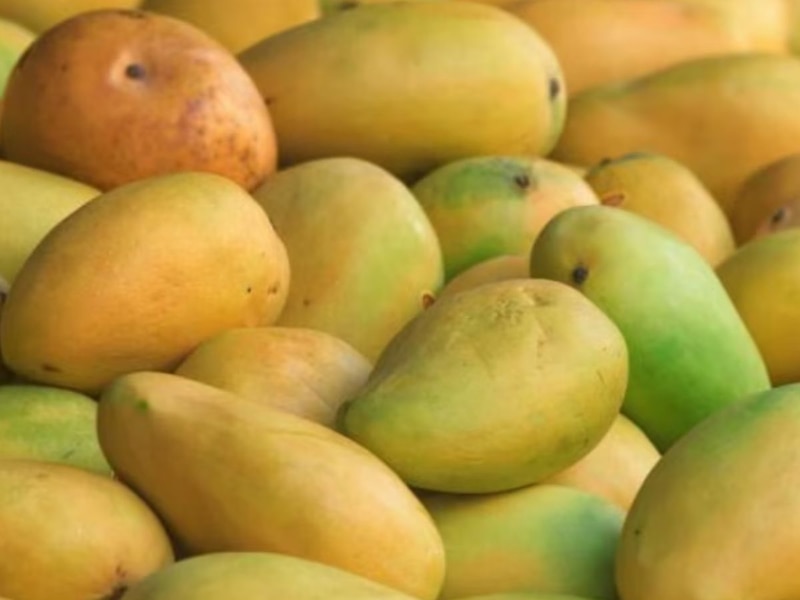 mp gk which districts of madhyapardesh have highest production of ...