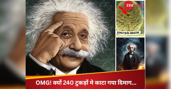 albert Einstein brain was cut into 240 pieces after his death know complete details | क्यों 240 ...