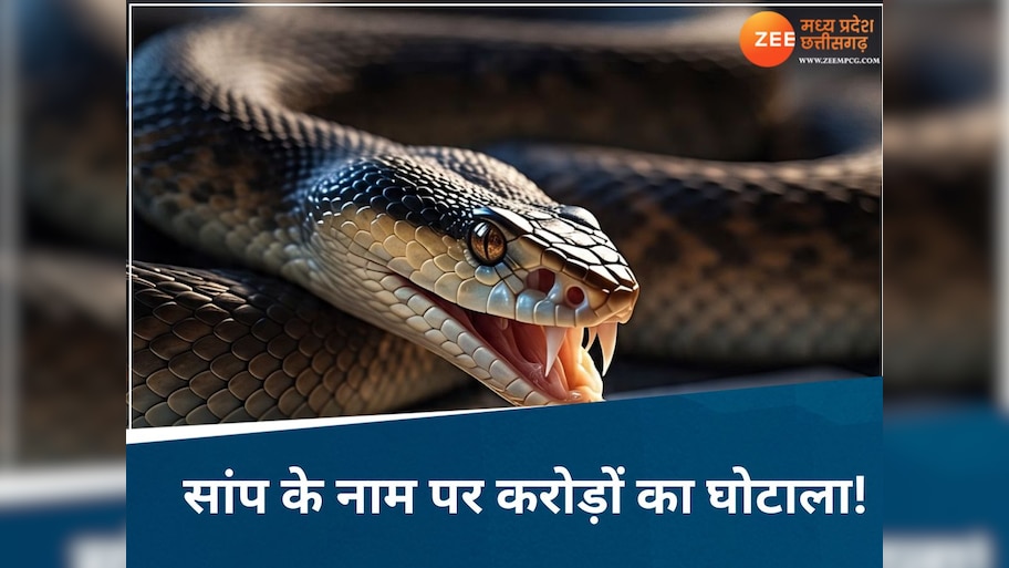 shivni snakebite scam snake bit same young man repeatedly officials ...