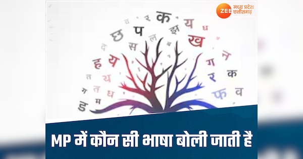 mp gk after hindi which other languages spoken in madhya pradesh ...
