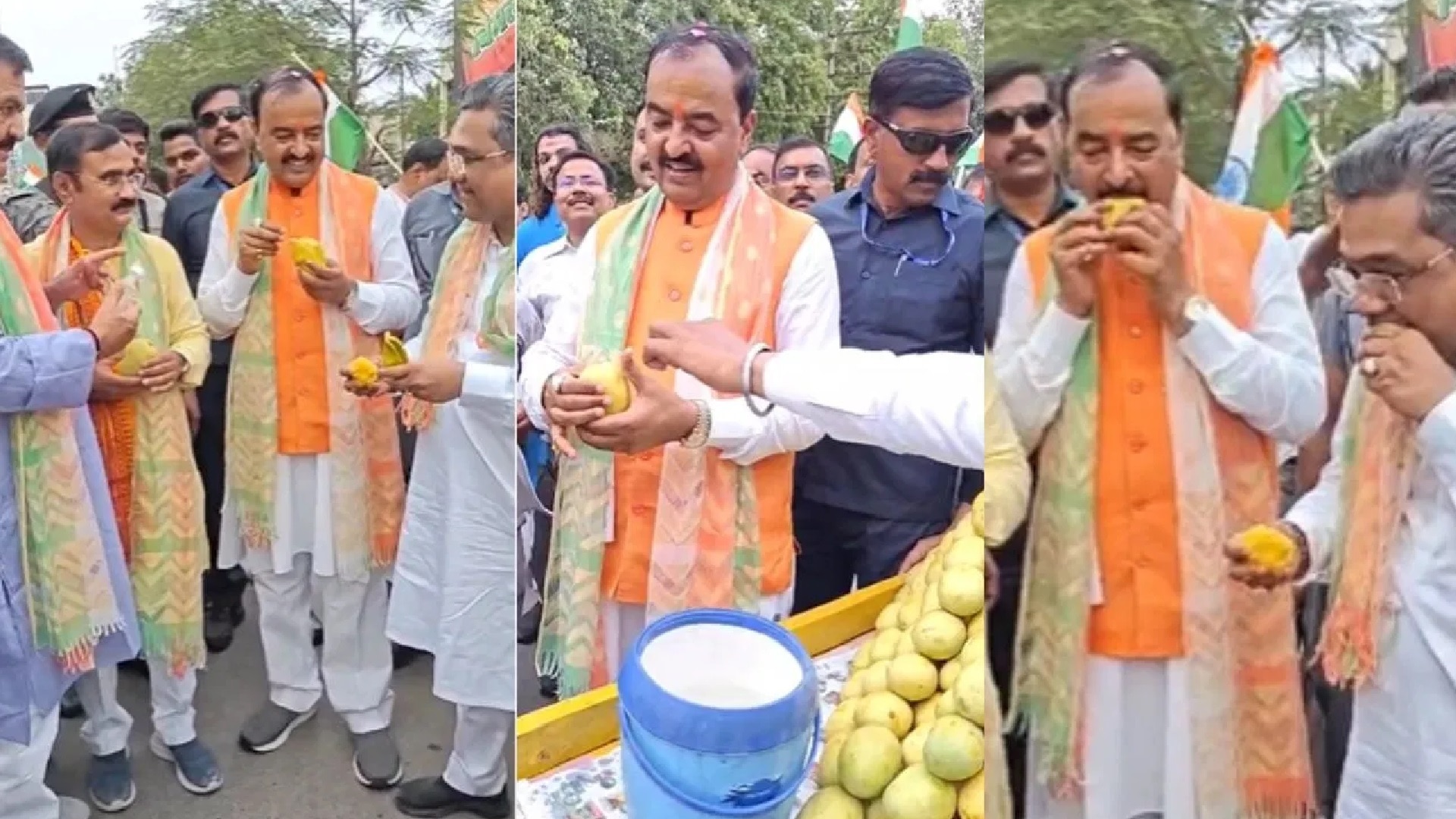 banarasi langda mango viral video up deputy cm buys gi tag global ...