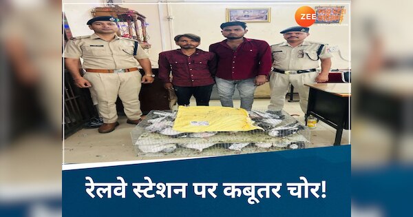 pigeon thief at bhopal railway station RPF caught the accused red ...