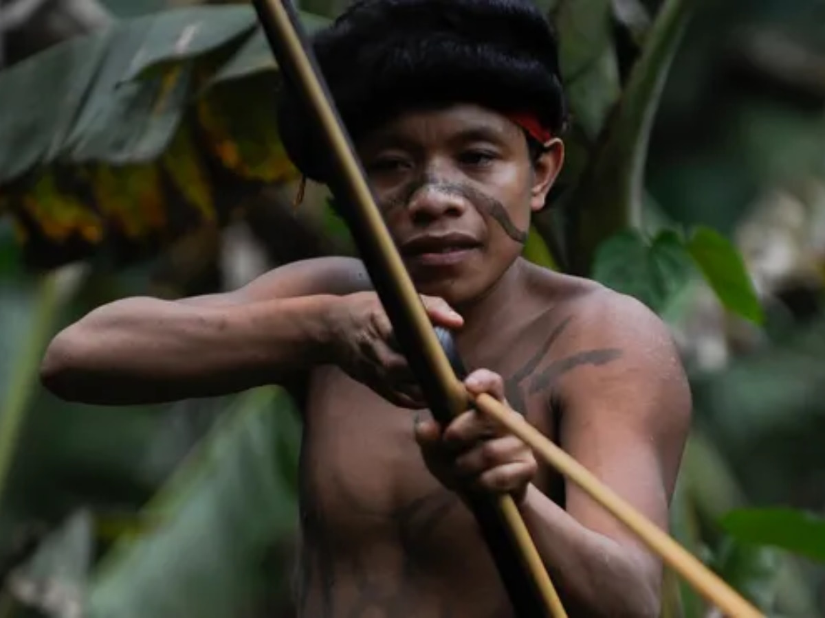 the most dreaded tribe sentinel lives in andaman nicobar india no ...