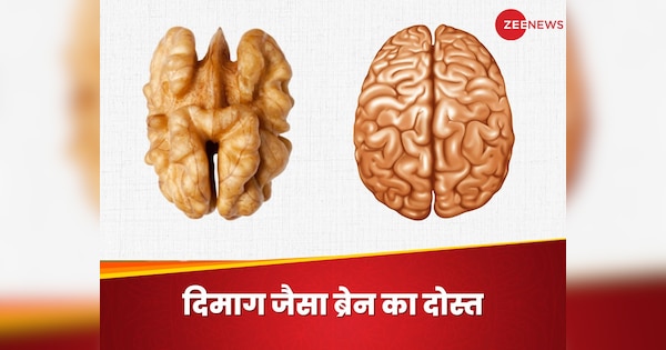 How Brain Shaped Dry Fruit Walnut is Good For Mind Make it Super ...