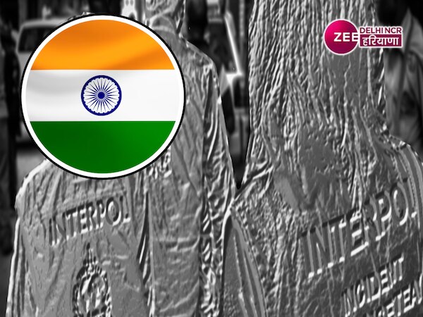 What is Silver Notice: भारत का पहला सिल्वर नोटिस जारी, जानें इसका मतलब ...