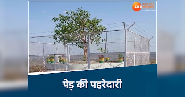 mp vvip tree salmatpur in raisen district bodhi tree z plus security ...