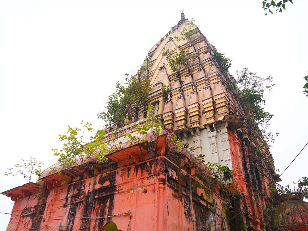 What are The Top Best 5 Tourist Places To Visit in Darbhnga Bihar ...