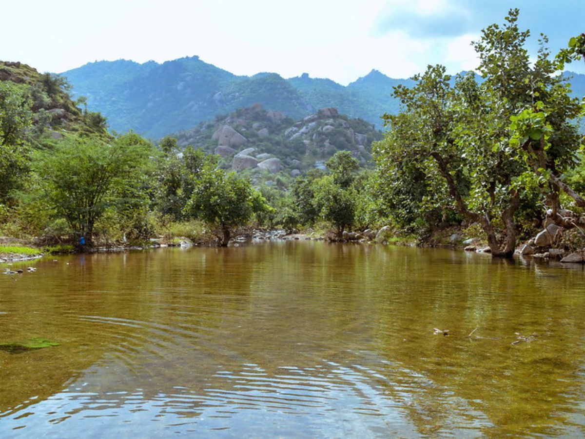 India smallest river Arvari River Rajasthan story origin to end facts ...