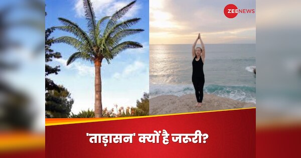 What are the Health Advantages of Tadasana Yoga Ke Fayde Palm Tree Pose ...