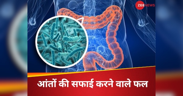 sign of toxins in intestines| intestine cleansing foods| how to remove ...