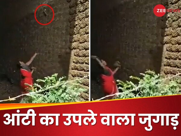 Desi Jugaad Cow Dung Cake indian woman talent viral video trending news ...