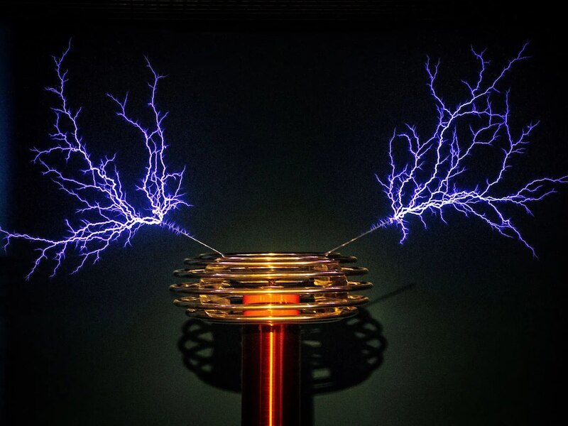 nikola tesla fell in love with white pigeon know complete details in ...