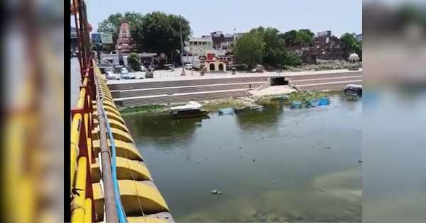 Jaunpur Gomti river is drying up animals and birds yearning for water ...