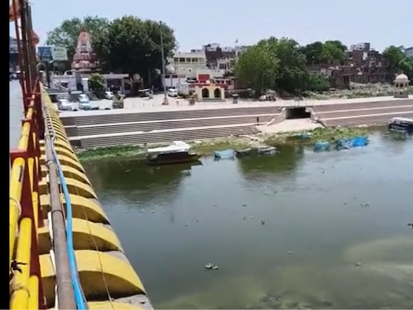 Jaunpur Gomti river is drying up animals and birds yearning for water ...