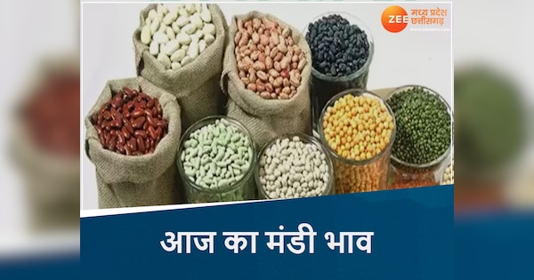 madhya pradesh mandi bhav 6 june 2025 gehu pyaj chana ke rate kya hai ...