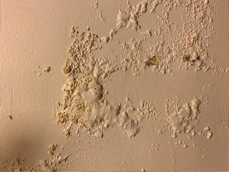 home remedies to remove deemak from furniture and wall at home dimak ...